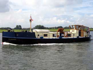 Fire-float Salamander